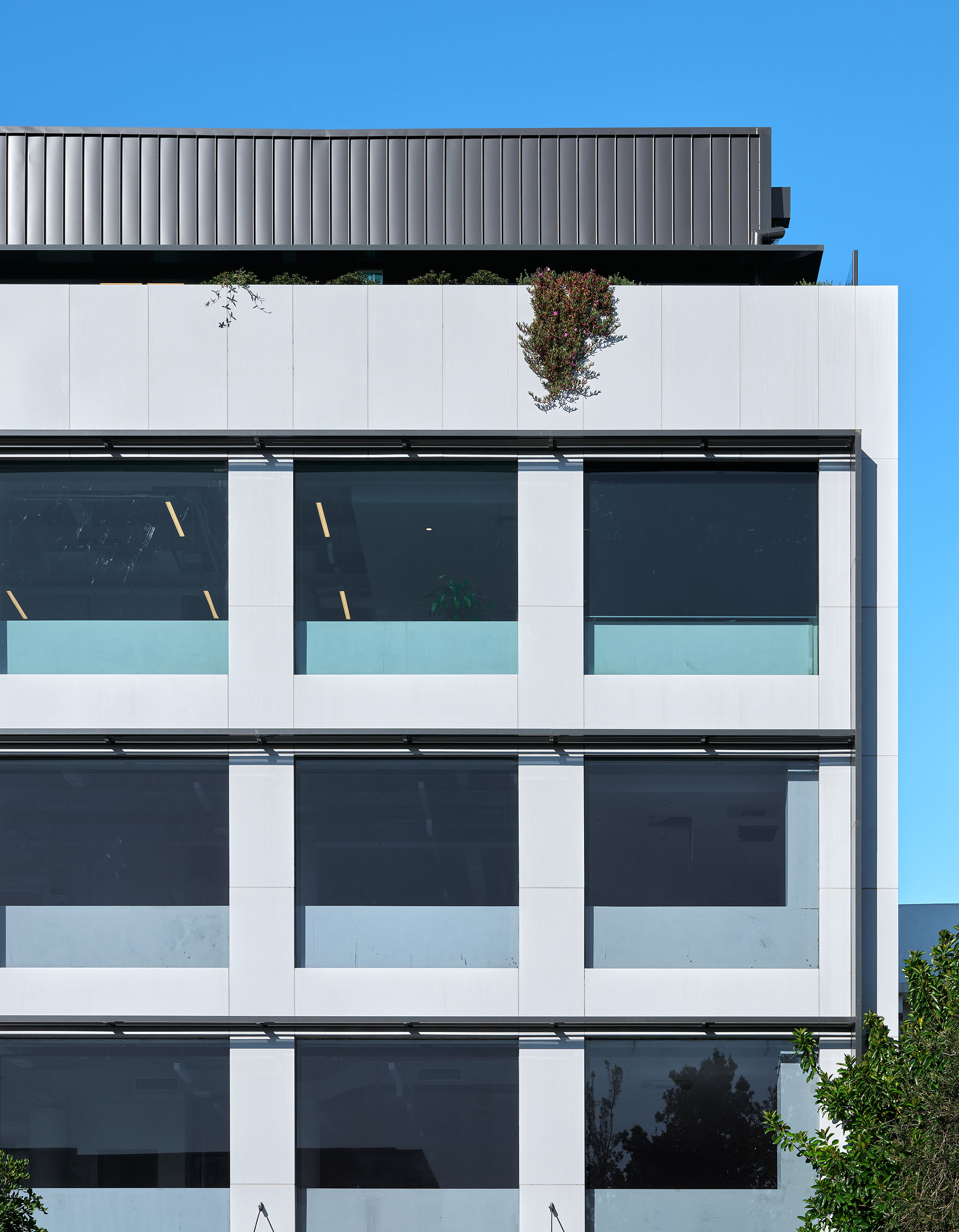 Projects - Rebel Property Group – Ricketty Street