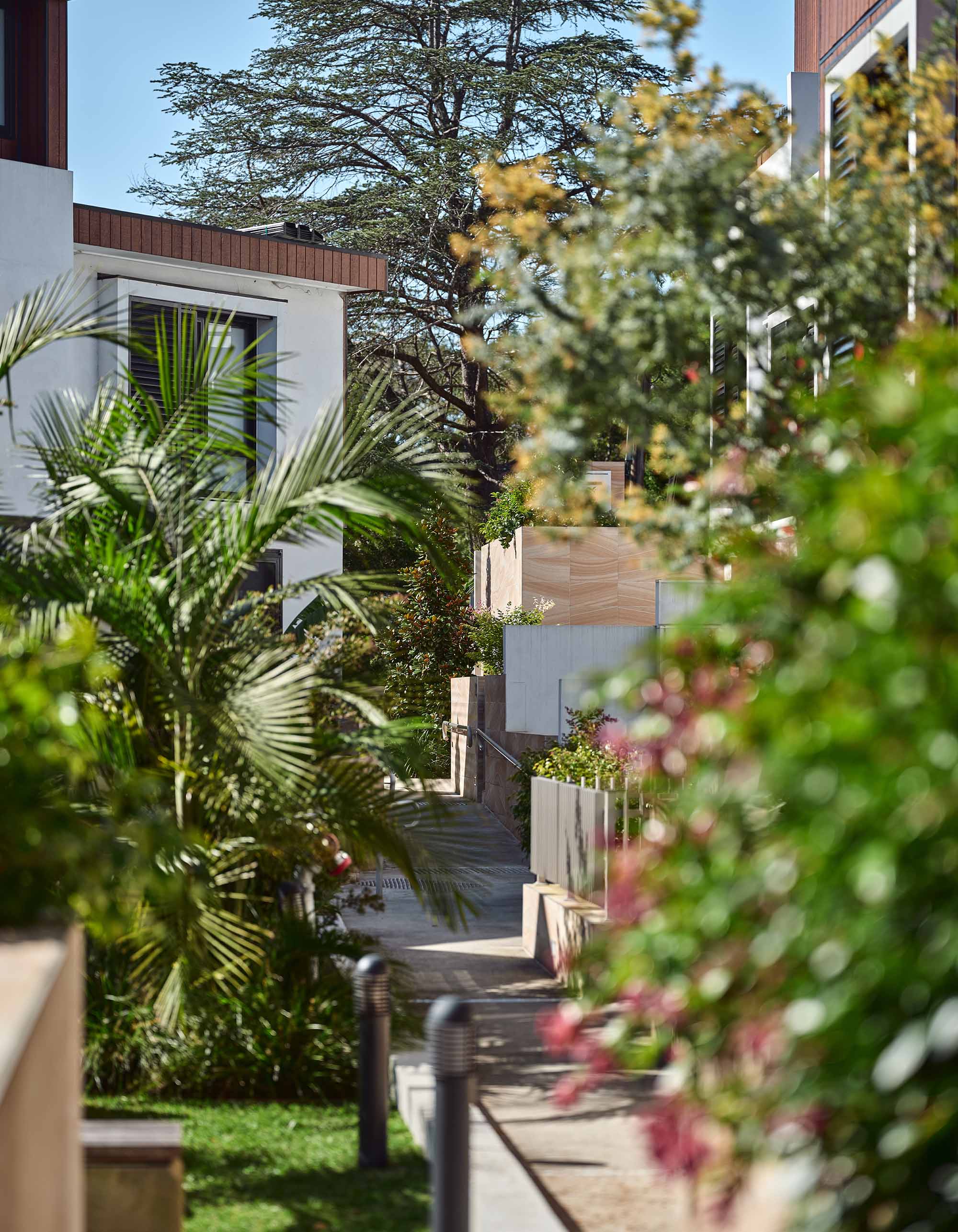 Projects - Rebel Property Group – Cherry Street